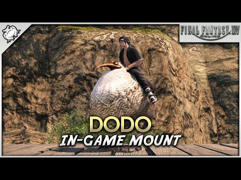 Steam Community :: Video :: FFXIV - Dodo Mount