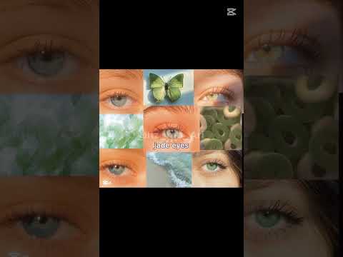 what is your eye color?ππ#eyes #cool #mybViral? #KEINEVORLAGE #chocolate#aesthetic#fyp#fyp #fyp #fyp