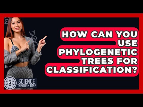 How Can You Use Phylogenetic Trees For Classification? - Science Through Time
