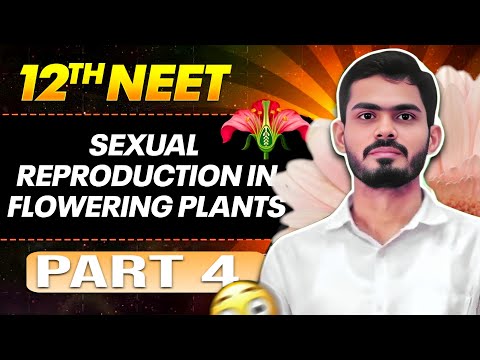 LIVE | PART 4|POLLINATION|SEXUAL REPRODUCTION IN FLOWERING PLANT | CLASS 12 BIOLOGY |NEET 2026