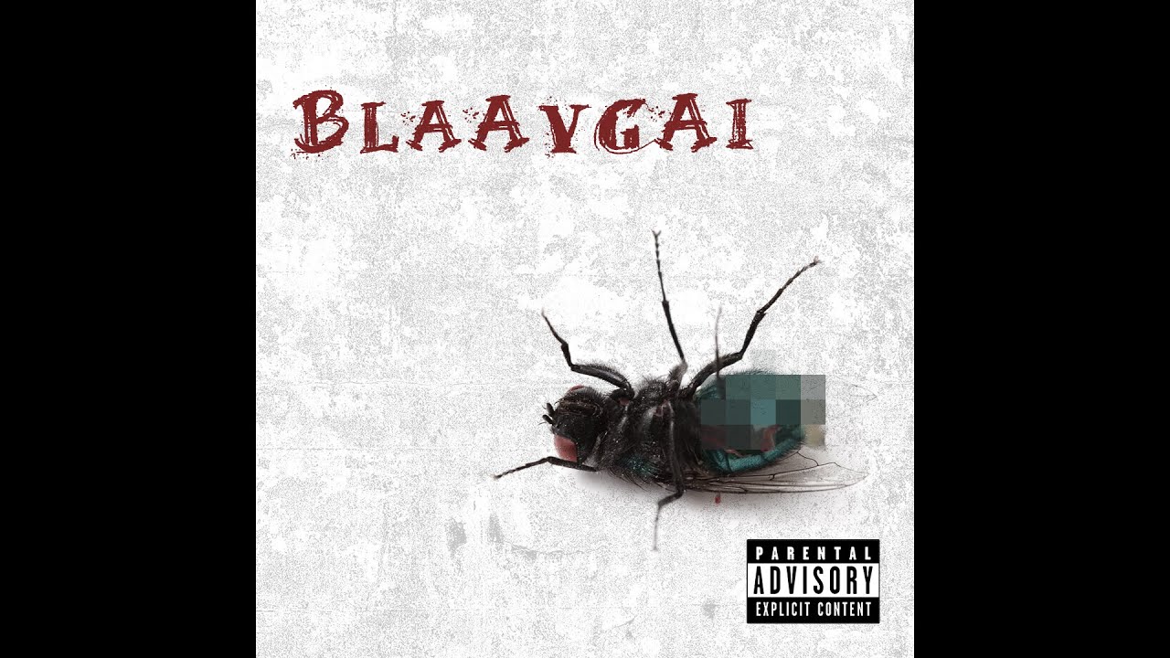 Blaavgai by Rokit Bay from Mongolia | Popnable
