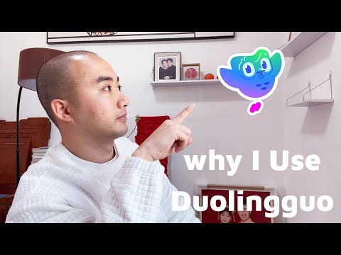 Why I Use Duolingo to Learn English Instead of Other Apps