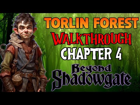 Steam Community :: Beyond Shadowgate