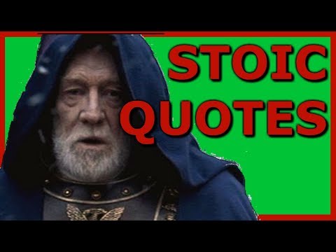 18 Stoicism Quotes (Change your perspective instantly)