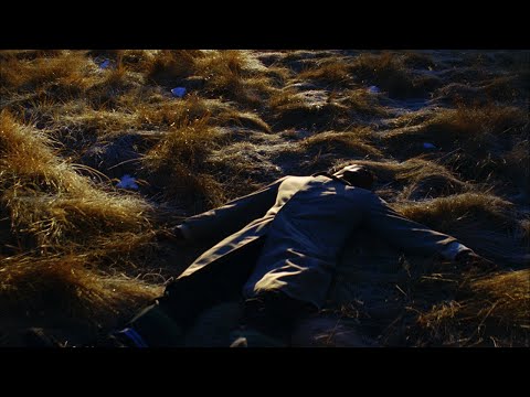 Brandon Banks - SELF Ft. Mereba (Video)