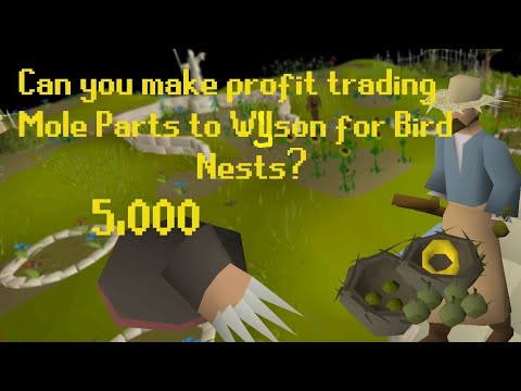 Can you profit trading 5000 Mole Parts to Wyson for Bird nests? [OSRS]
