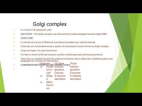 Cell organelles (slides,main points)