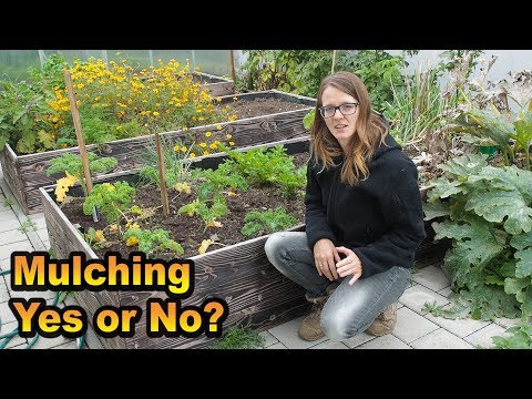 What is mulching and why should YOU do it!