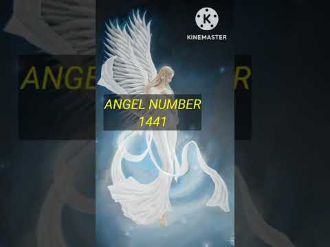 TWIN FLAME ANGEL NUMBER 1441,#shorts #1441 #angel #angelnumber #twinflamehindi @diviine_twinflame