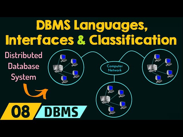 Understanding DBMS Languages, Interfaces, and Classification | Galaxy.ai