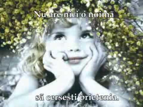 citate despre prietenie.flv