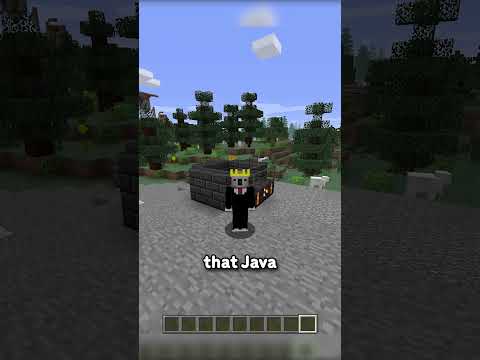 Java Mods MIGHT Be Coming To BEDROCK EDITION...