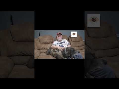 Invisible Wounds | PTSD Awareness PSA #ptsd #psa #youarenotalone #breakthesilence
