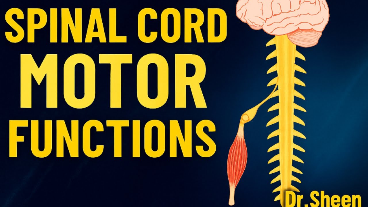 Spinal Cord Motor Function Challenge QUIZ base video-1