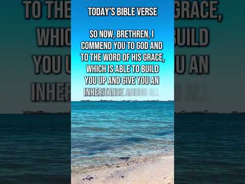 🏗️ Bible Verse Of The Day: Acts 20:32 God’s Word Builds You Up!