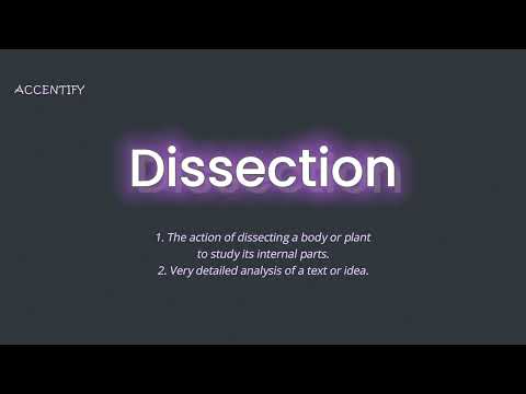 Dissection (Pronunciation and Meaning)