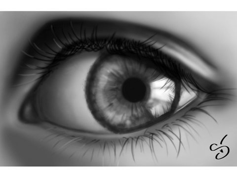 How to draw realistic eyes | SmallWorlds Art Scene