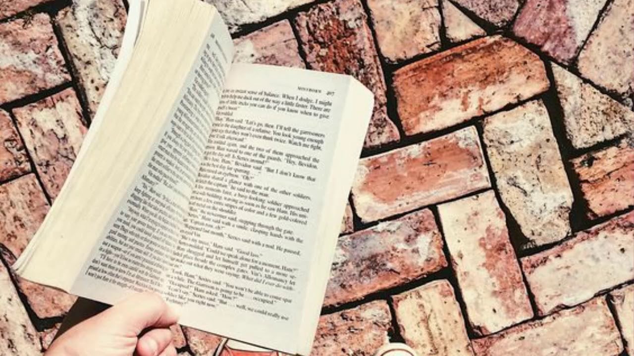 Organizational Behavior A Practical Problem-Solving Approach, 1st edition by Kinicki study guide