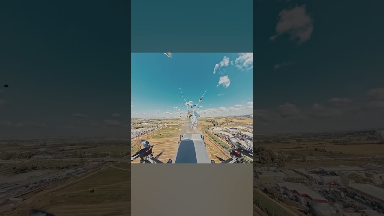 This drone catches other drones with a net mid-flight