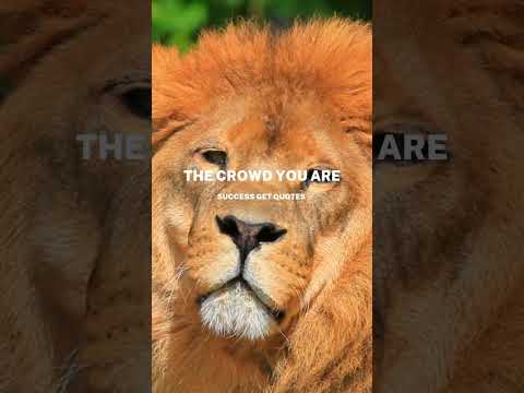 Lion Attitude Quotes 😘🔥| Lion Mentally 🙂🔥 #shorts #lion