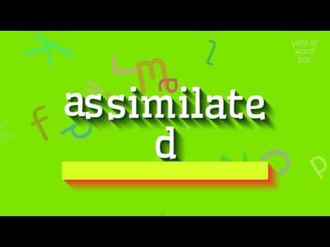 How to say "assimilated"! (High Quality Voices)