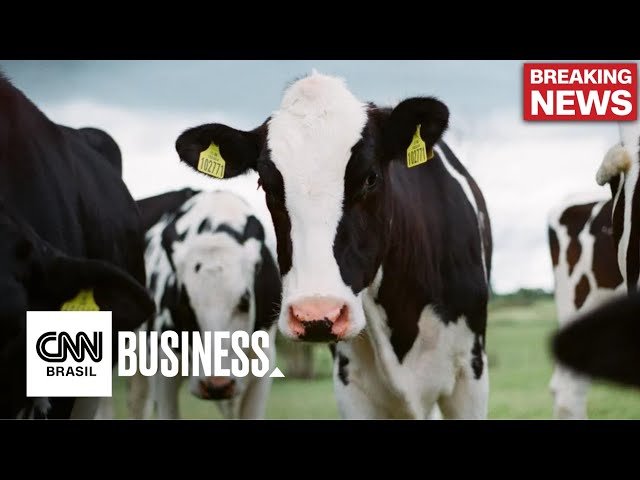 Ministério da Agricultura confirma caso de mal da vaca louca | CNN Brasil