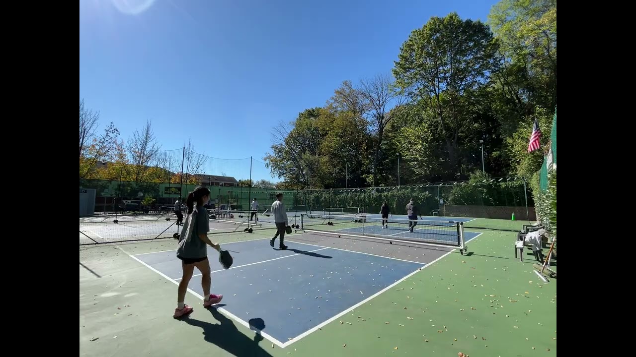 viv/tim vs lily/harry GO pickleball