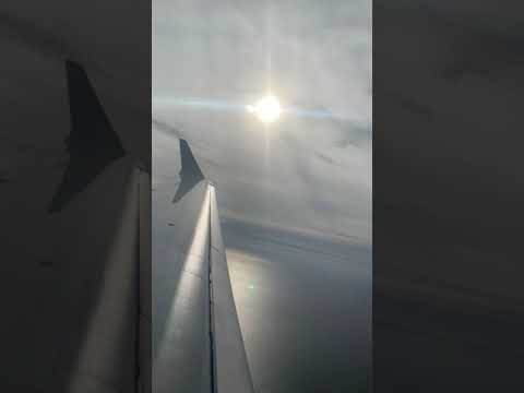 Landing at Daytona Beach International Airport (KDAB DAB) CRJ900 American Airlines - Wing View