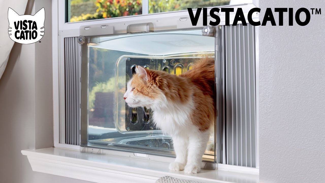 The VistaCatio