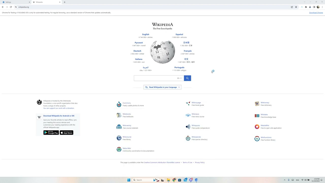 Python RPA Simplified: Chrome Browser & Extension Setup Tutorial