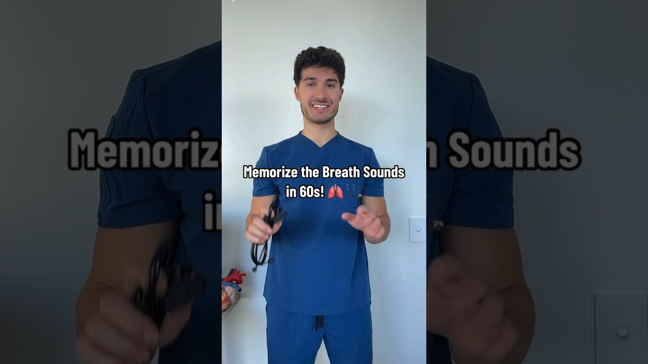 Memorize the Breath Sounds in 60s! 🫁🩺 #shorts #medstudent #medicalschool #osce #pulmonology #med