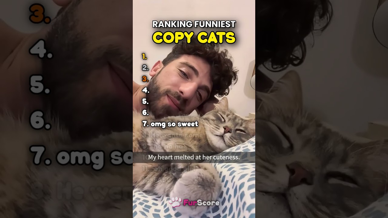 These cats are COPYCATS 🎭