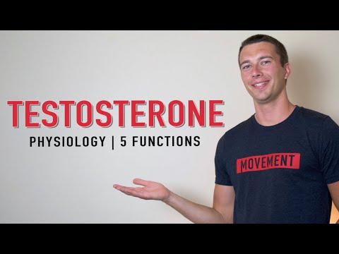 Testosterone Explained! | 5 Functions of Testosterone