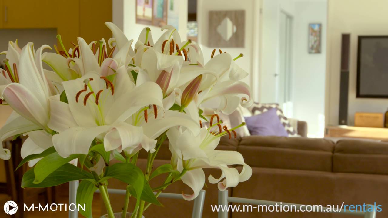 Real Estate - MIAMI - www.m-motion.com.au/rentals - M-MOTION