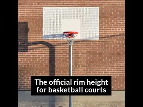Basketball Rim Height 🗑🏀 ... #basketball #shorts