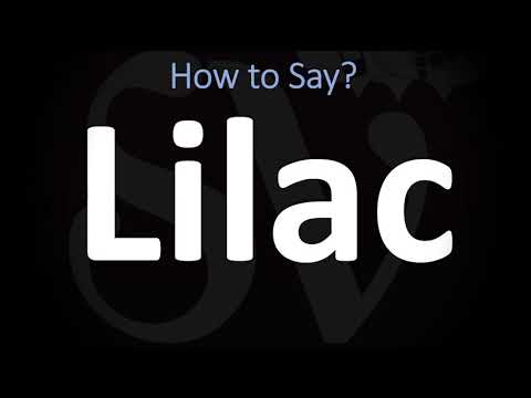 How to Pronounce Lilac? (CORRECTLY)