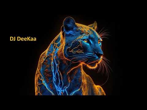 House Music, Club Underground & Garage - HG311224.1 (1 Hour Mix - DJ DeeKaa)