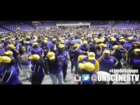 Prairie View A&M University Class Of 2020 Shuffle Dance