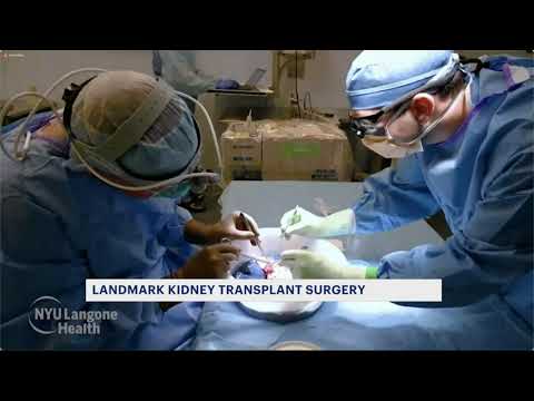 Doctors at NYU Langone Health announce completion of cross-species kidney transplant