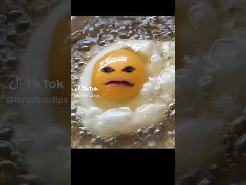 Help my brain is fried #egg #eggs #friedegg #friedeggs #fried