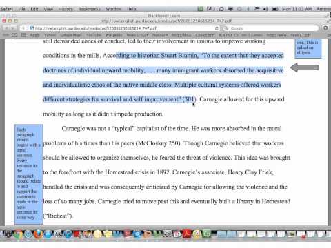 MLA Sample Essay Reviewed