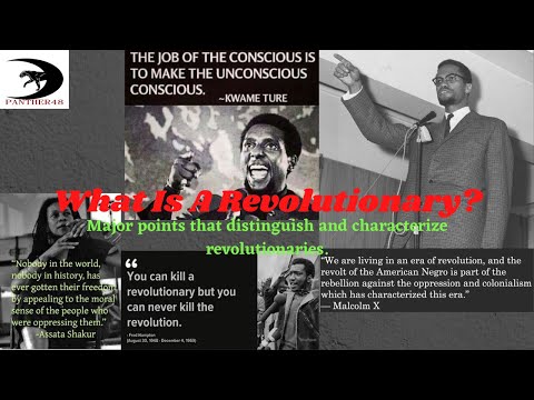 What is a revolutionary?