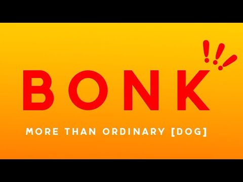 The Rise and Fall of BONK: Solana’s Iconic Meme Coin and ...