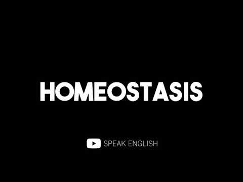 How to Pronounce Homeostasis | Learning How To Speak English
