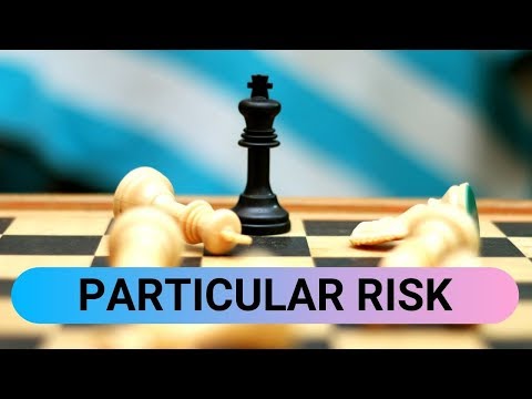 What is a Particular Risk ? Is it Insurable ? Meaning & Examples