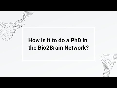 How Is It To Do A PhD In The Bio2Brain Network