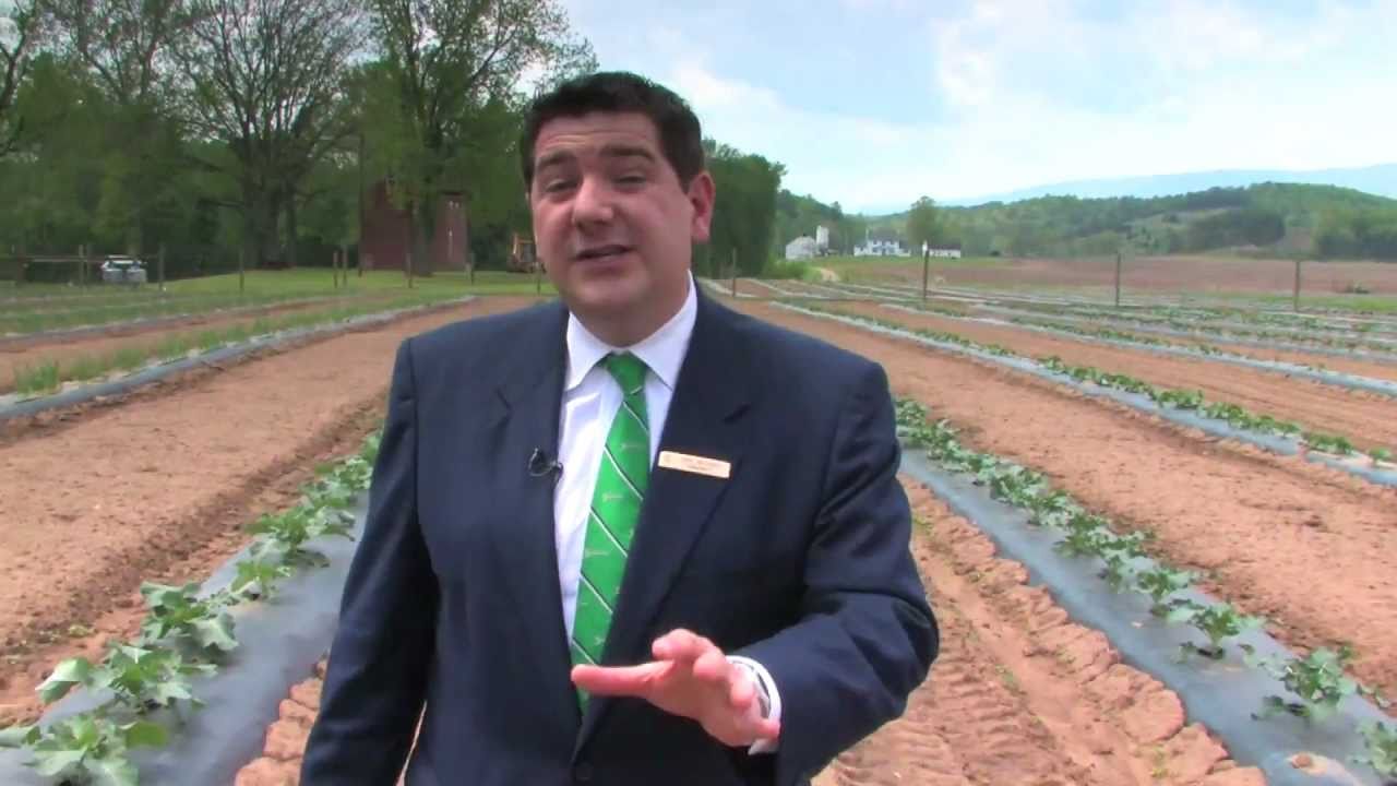 Greenbrier Updated Overview