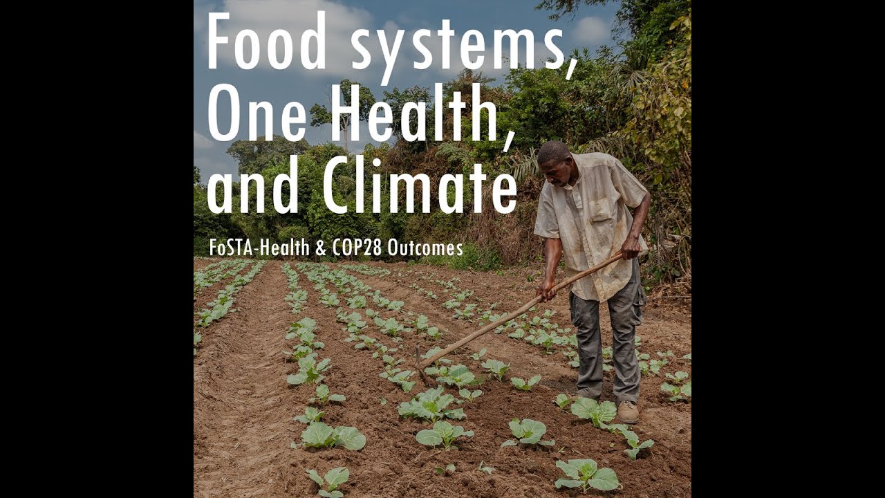 Food Systems, One Health, and Climate: FoSTA-Health and COP28 outcomes
