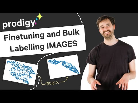 Finetuning and Bulk Labelling IMAGES with Prodigy