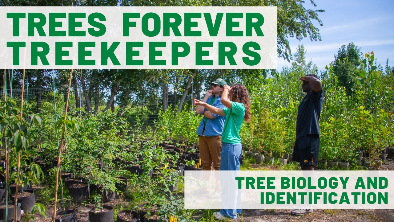 Trees Forever TreeKeepers Spring 2026: Tree Biology and Identification